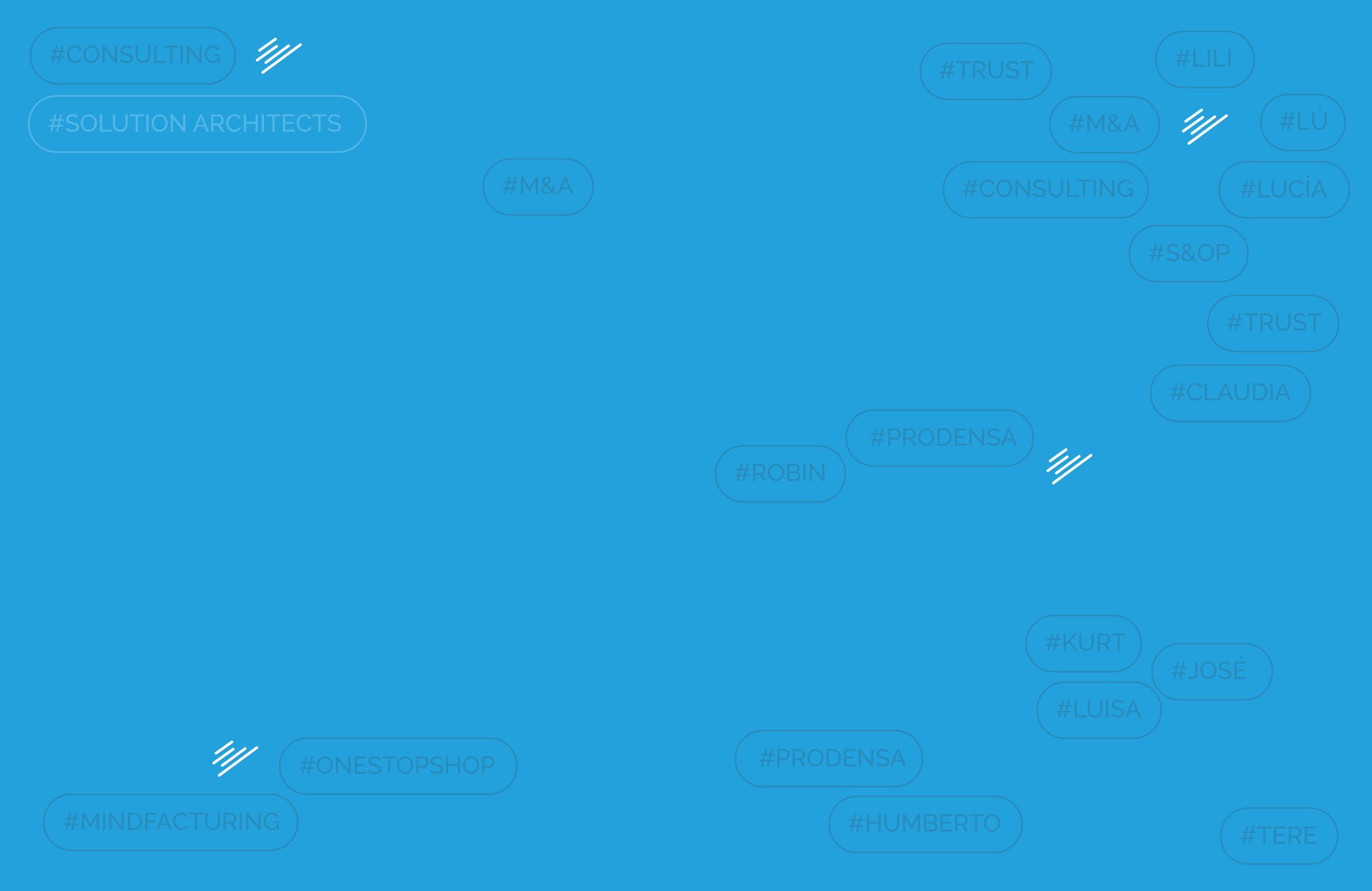 Prodensa Consulting