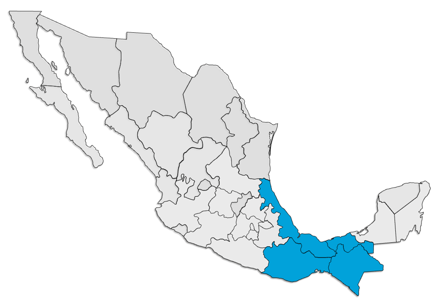 Manufacturing in Mexico: The Ultimate Site Selection Guide