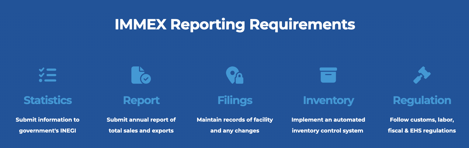 How the IMMEX Program Works: the Framework Explained [2026]