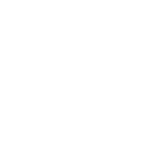 Everything You Need to Know About the Mexican Customs Agency (ANAM)
