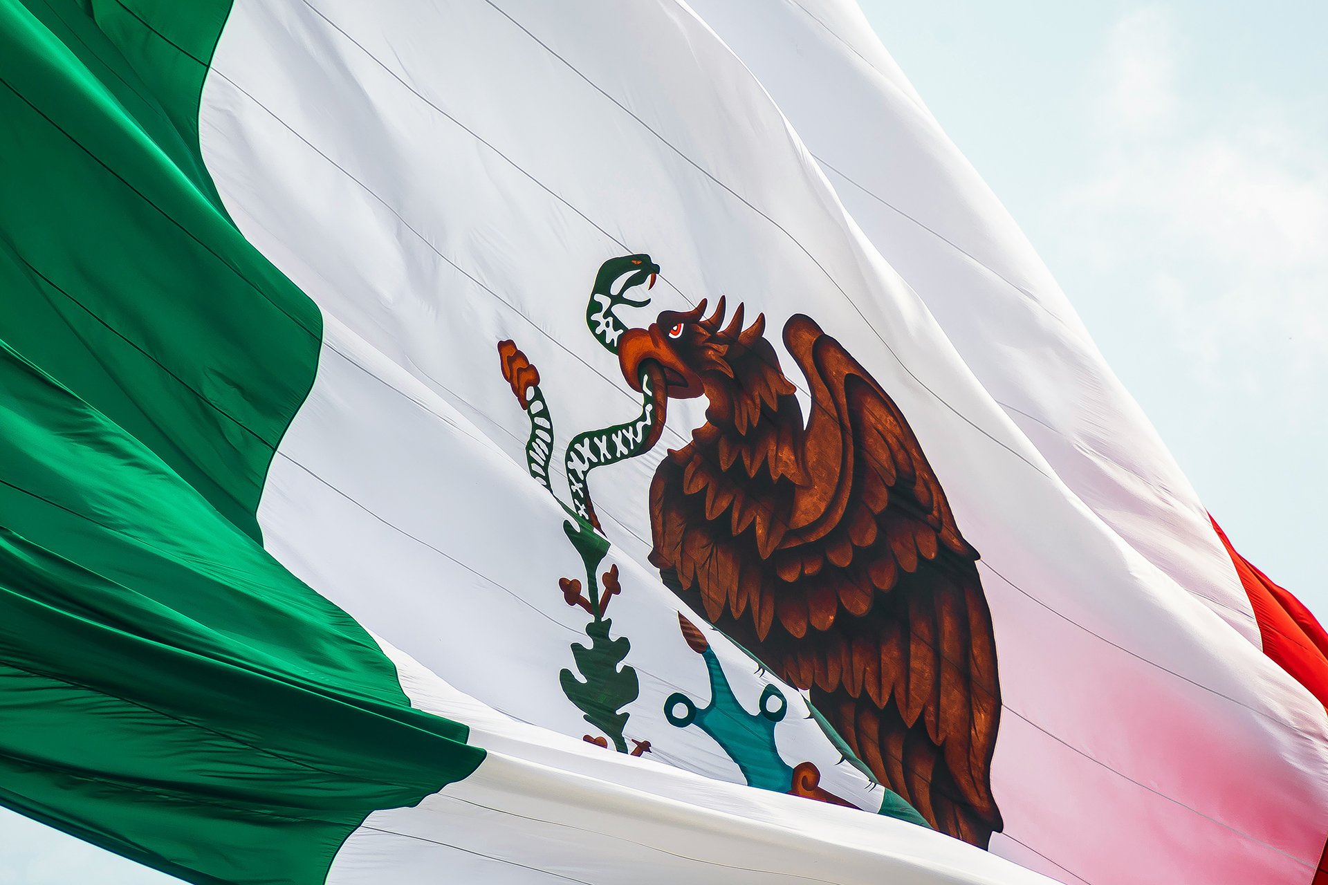 Everything You Need to Know About the Mexican Customs Agency (ANAM)
